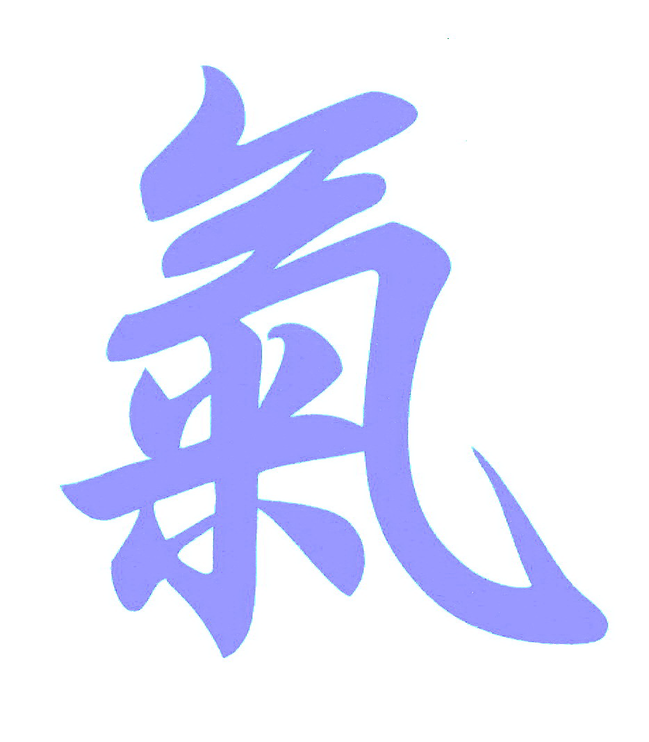 Qi China International - Aims and Vision